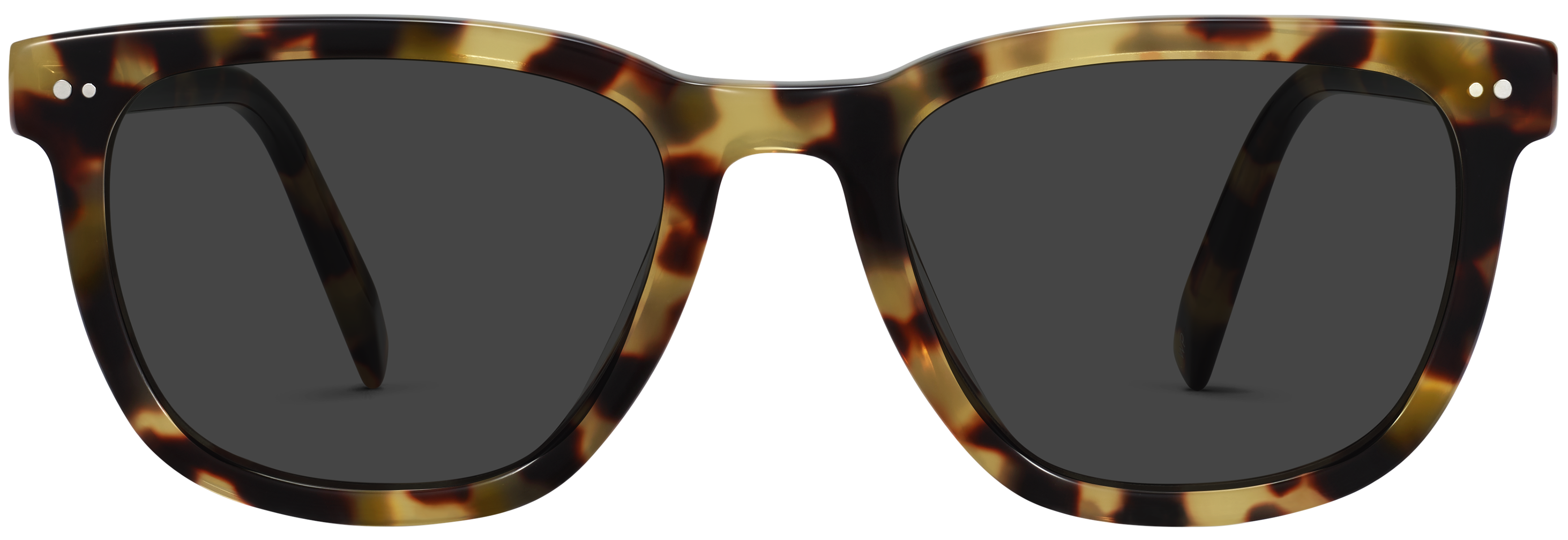 Toni Sunglasses in Cider Tortoise | Warby Parker