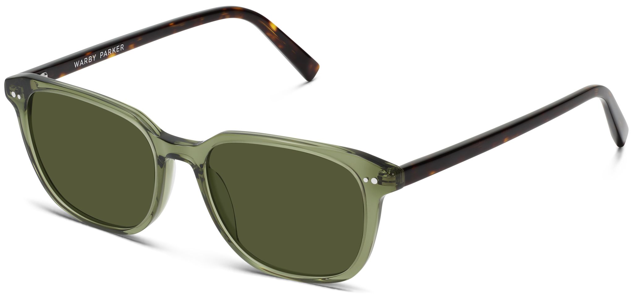 Gooding Sunglasses in Seaweed Crystal with Cognac Tortoise — Medium ...