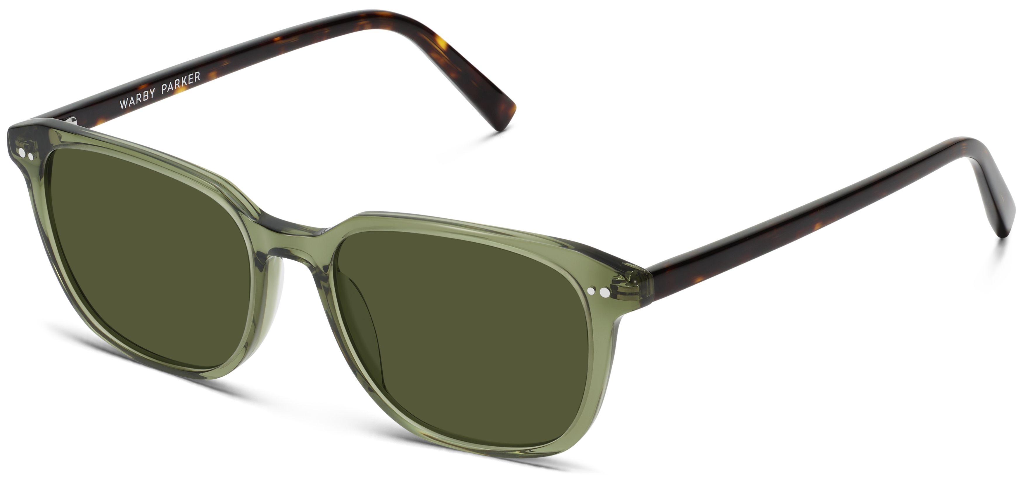 Gooding Sunglasses in Seaweed Crystal with Cognac Tortoise — Medium ...